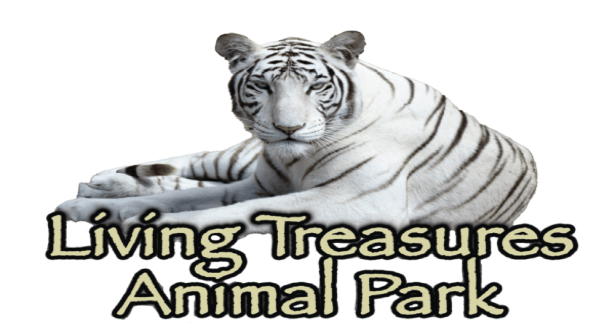 Our Commitment to Our Animals | Living Treasures Wild Animal Park